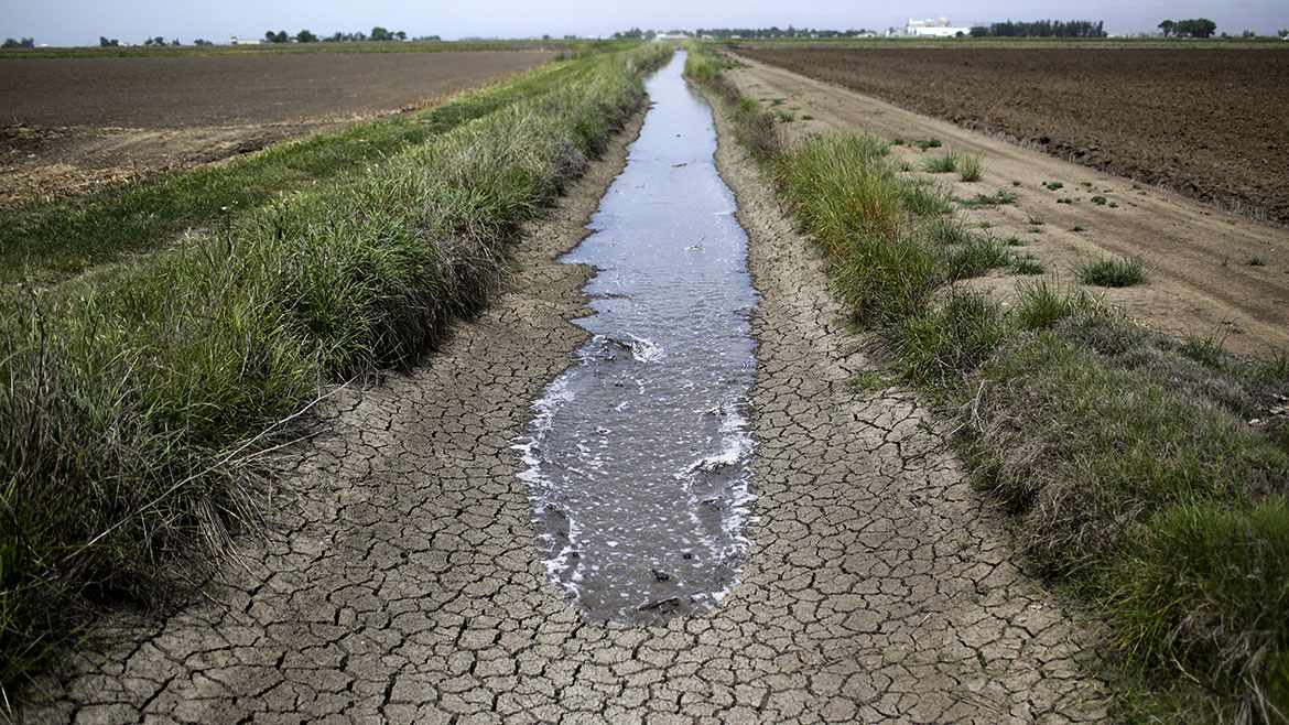 Escasea el agua potable en Uruguay. ¿Tierra pa´l que la seca? - Tiempo ...